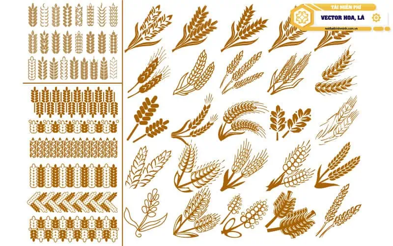 +111 Vector hoa lá | Tải miễn phí vector hoa [PNG, PSD, Vector]